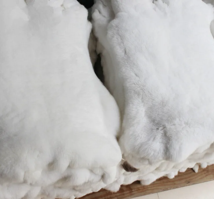 Quality Natural White Rex Rabbit Skin-in Fur from Home & Garden on ...