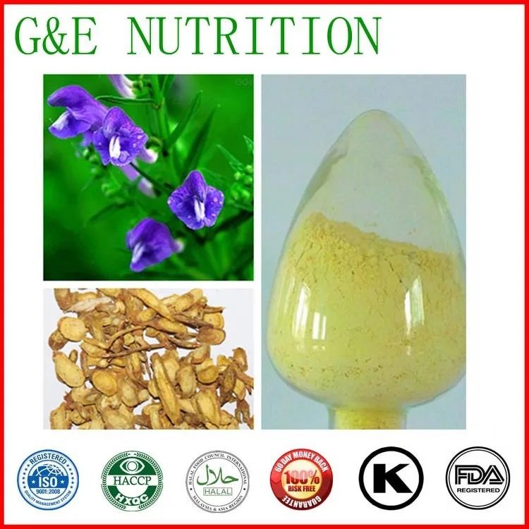 high quality pure Scutellaria baicalensis root extract|extract ...