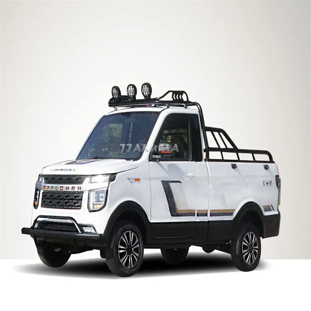 JIAKUMA Heavy Duty Mini Cargo Car Adult High Speed Pickup With Multi ...