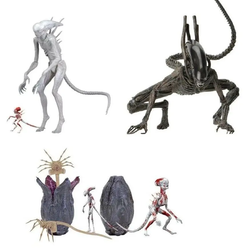 Alien Xenomorph Types