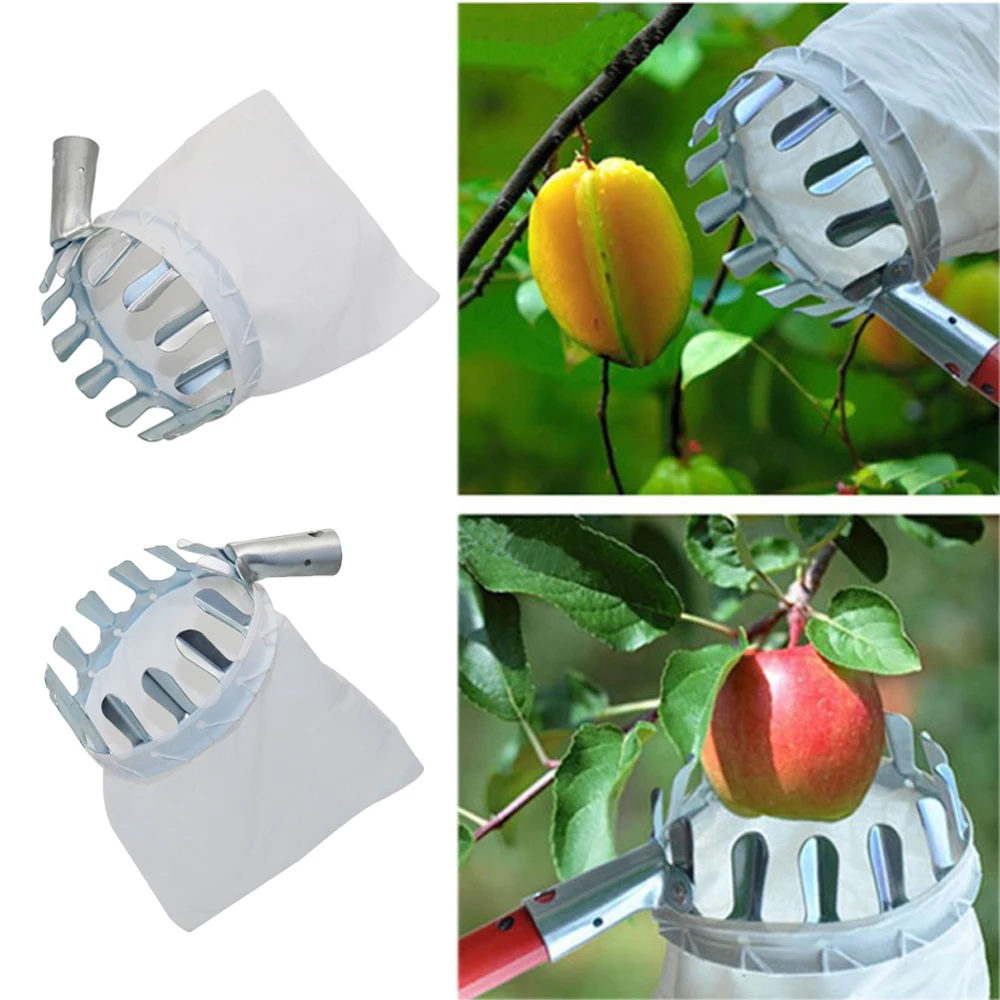 Metal-picker-de-frutas-pomar-jardinagem-ma-p-ssego-alta-rvore ...