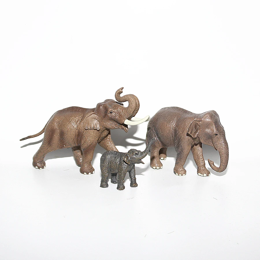 Real Miniature Elephant