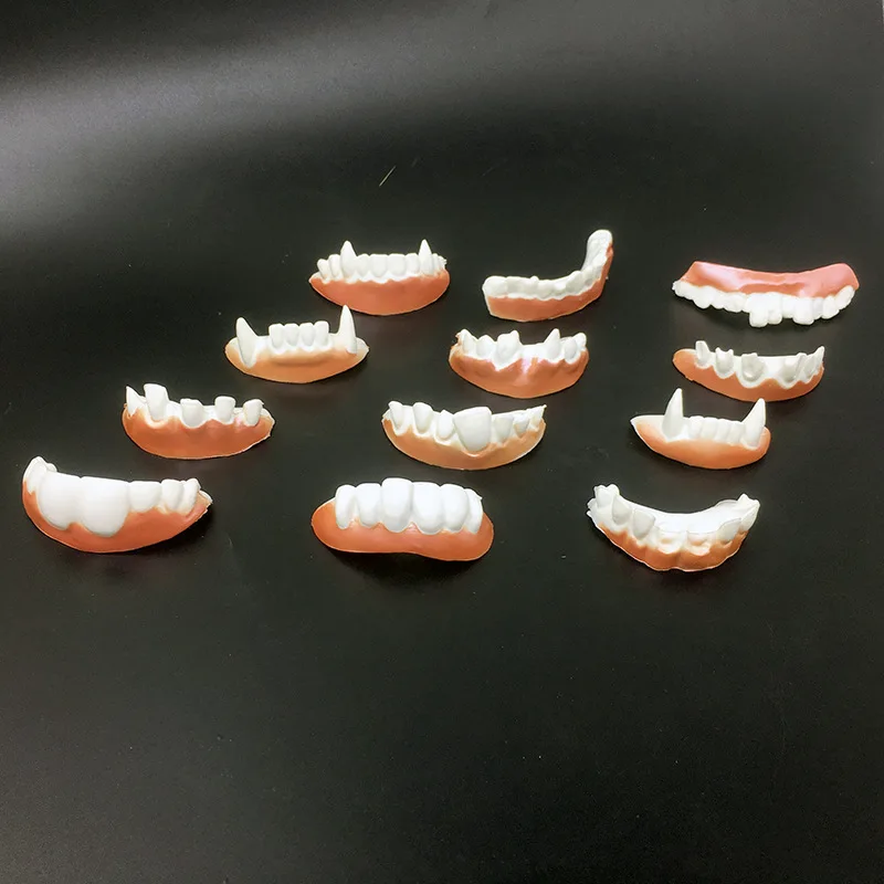 Toy Dentures