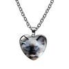 Cat Heart Pendant Necklace For Women - Outfit Galore