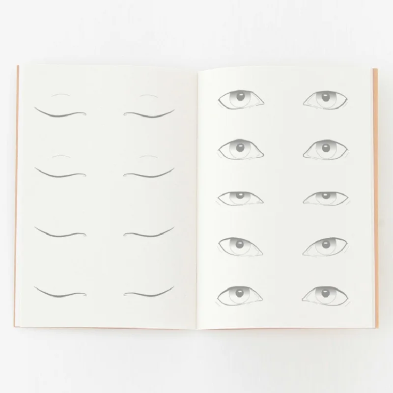How To Draw Eyebrows On Paper