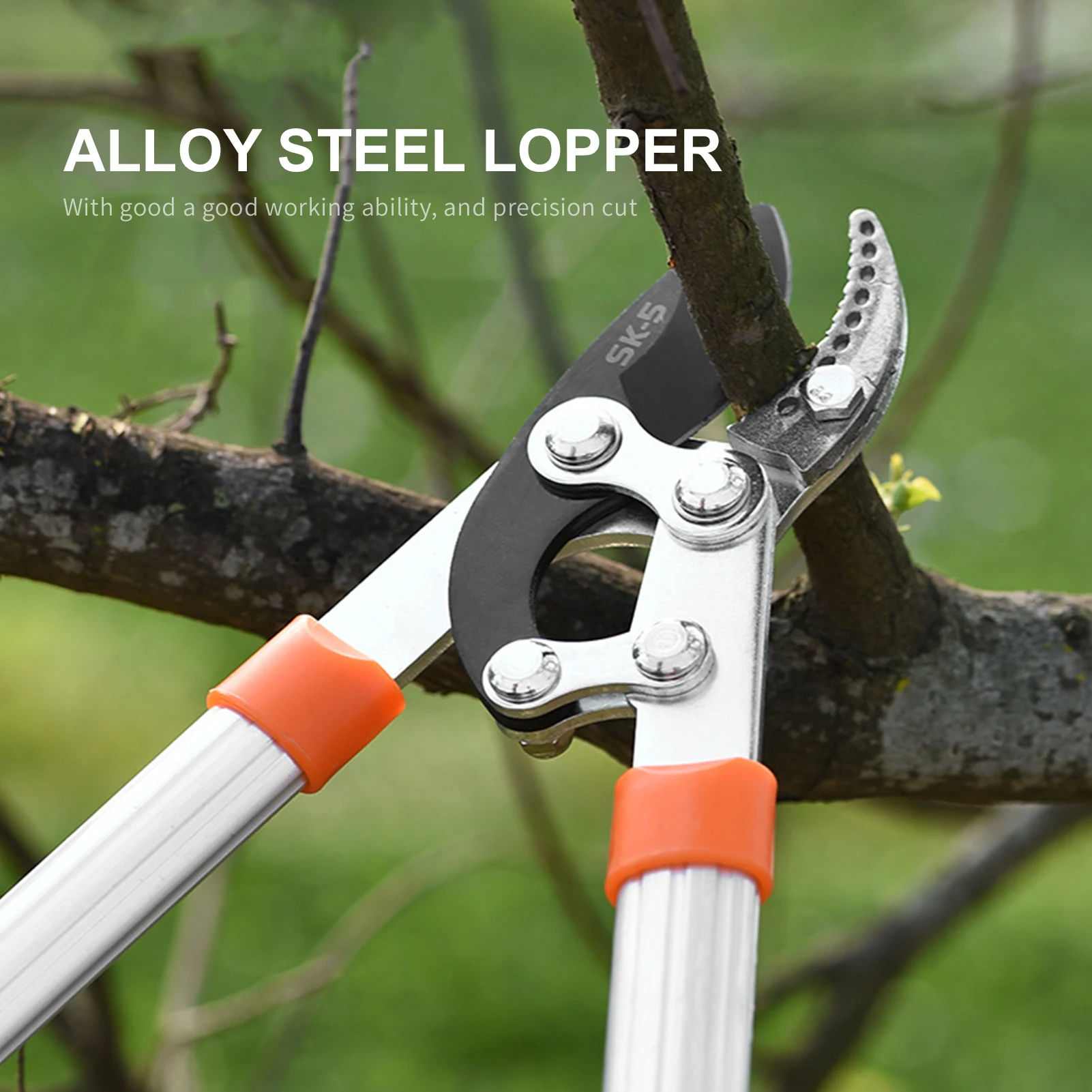 Ratchet Loppers Pruners