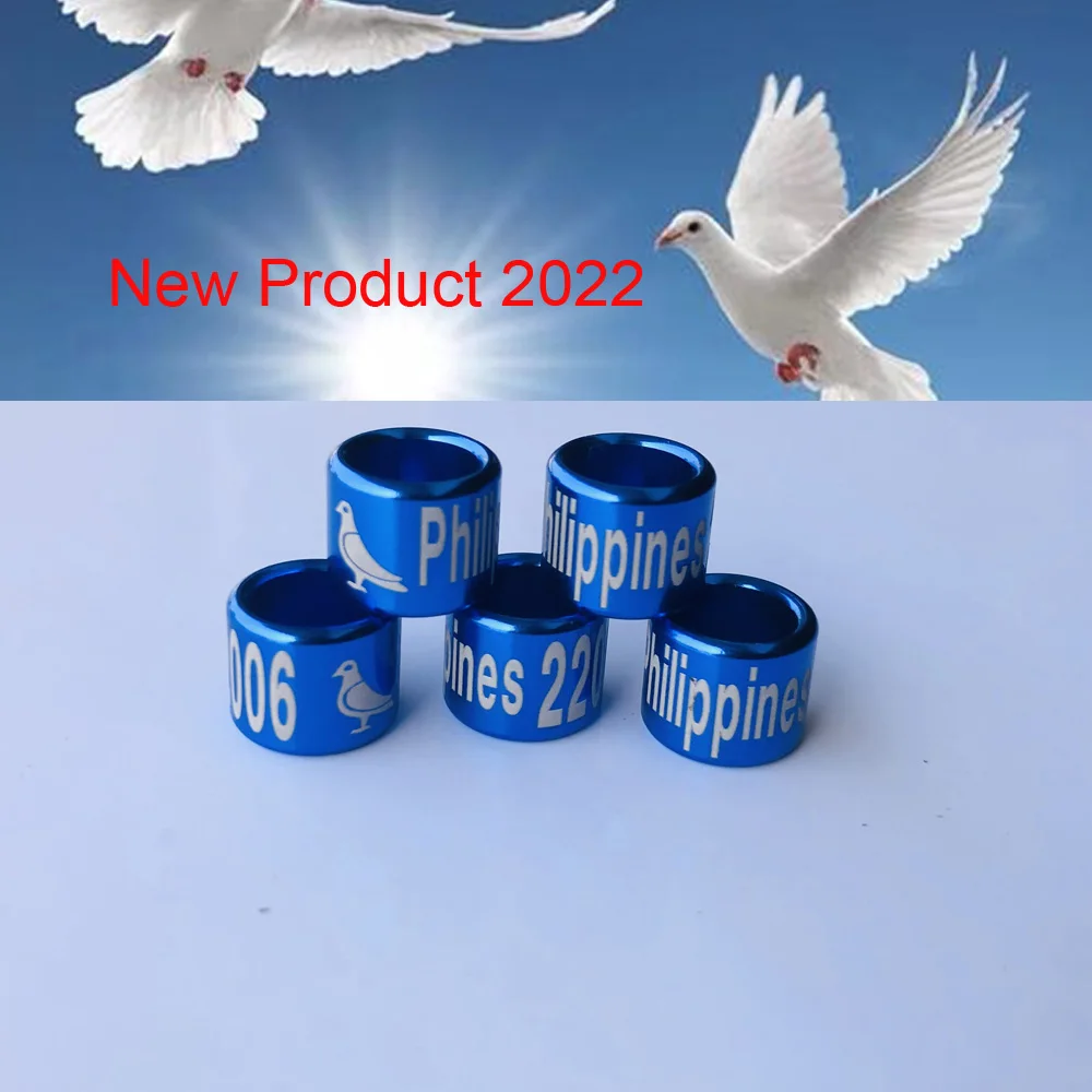 Pigeon Racing Pha