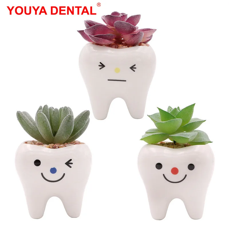 Dental-Tooth-Shape-Flower-Vase-Home-Decoration-Pot-Creative-Garden ...