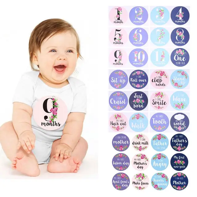 Baby Pregnant Women Monthly Photograph Sticker Fun Month Milestone ...
