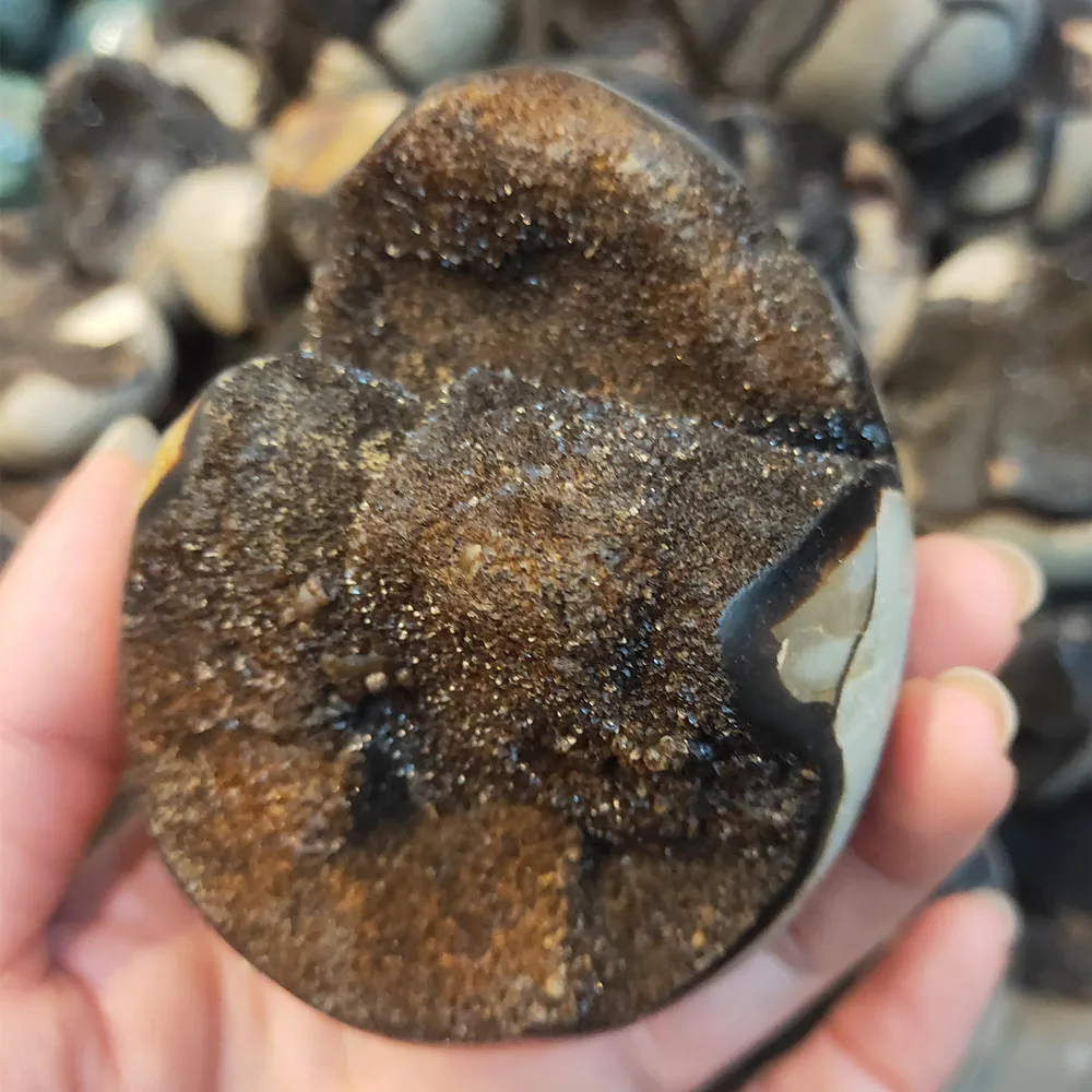 Wholesale Natural Septarium Crystal Egg Geode Septarian Quartz Stone ...