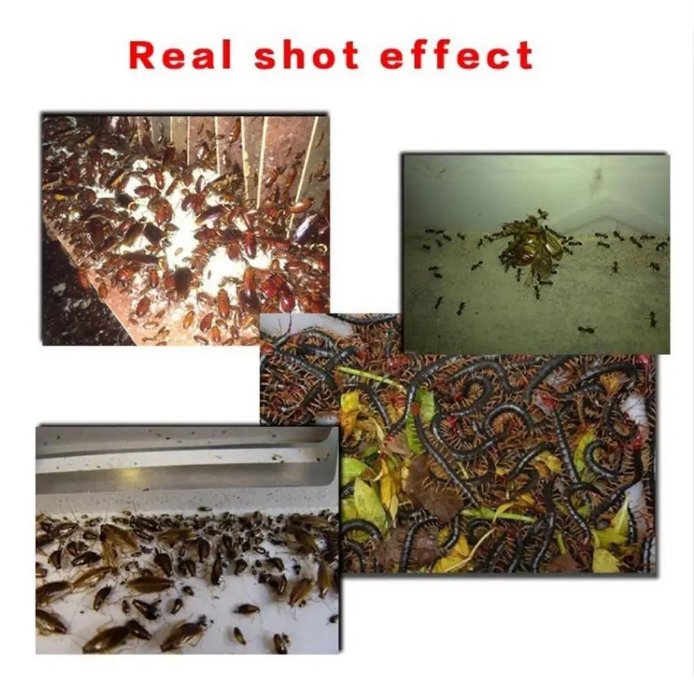 Super Effective Cockroach Bug Killer Powder Bait Bed Bug Drug Cockroach ...
