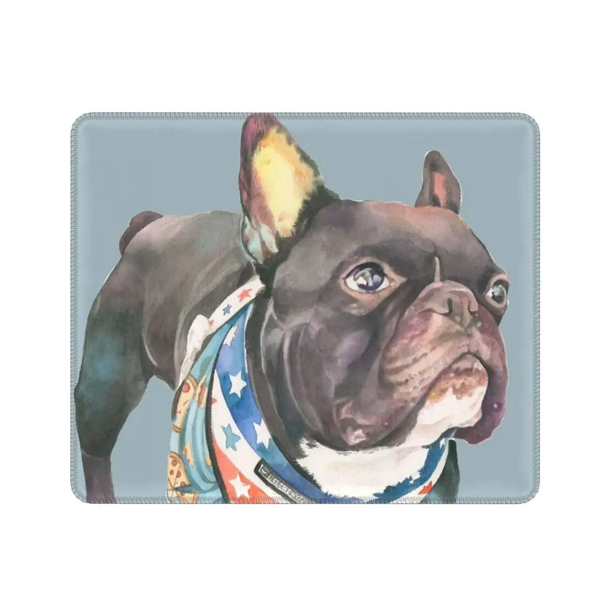 Bulldog On Computer Meme