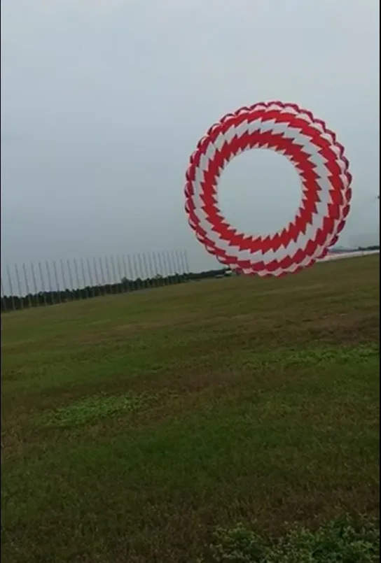 Rolling-ground-dragon-soft-kite-sing-kite-Single-line-kite-aircraft ...