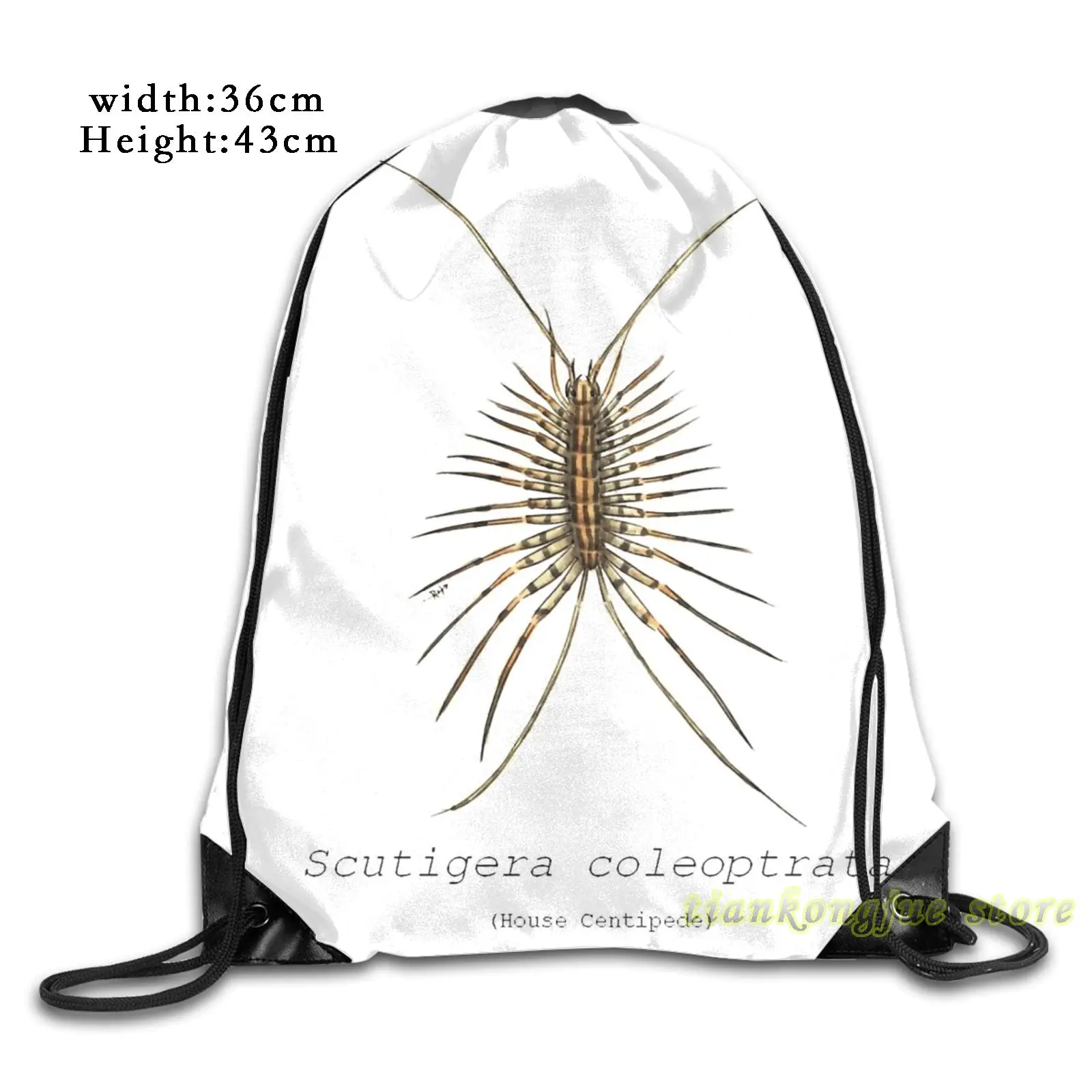 Spore Human Centipede