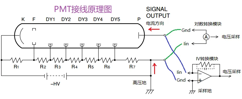Photomultiplier tube amplifier circuit