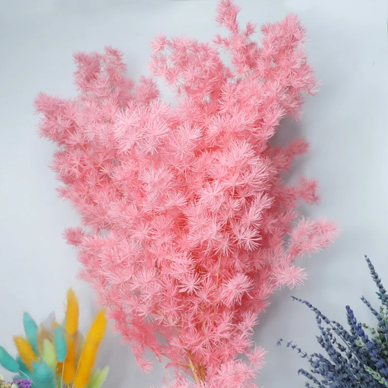 Dried Ming Fern Pink Floral Arrangements Home Décor etna.com.pe