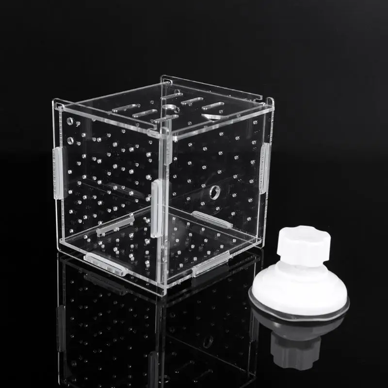 Aquarium Fish Breeding Isolation Box for Baby Fish Hatchery Incubator ...