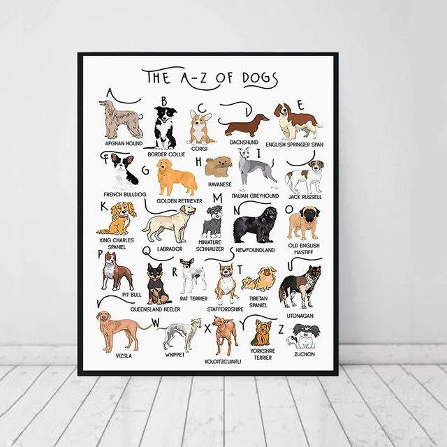 Dog Breed Poster