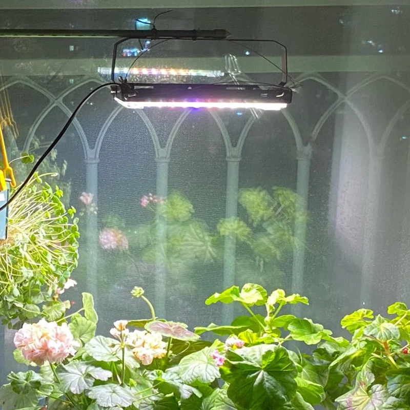 Luz LED de cultivo de 800W, lámpara Phyto de espectro completo, rojo y ...