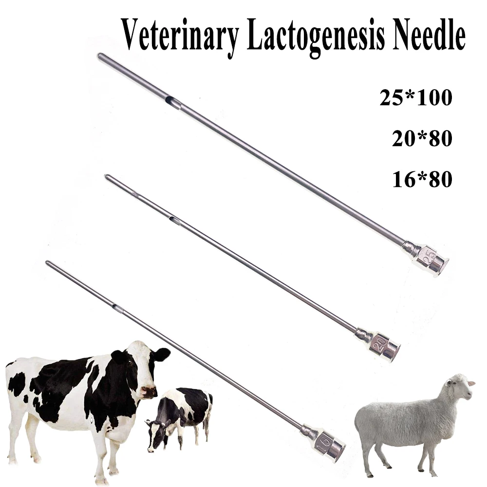 Ewe-Cow-Veterinary-Lactogenesis-Needle-Pin-Stainless-Steel-Breast ...