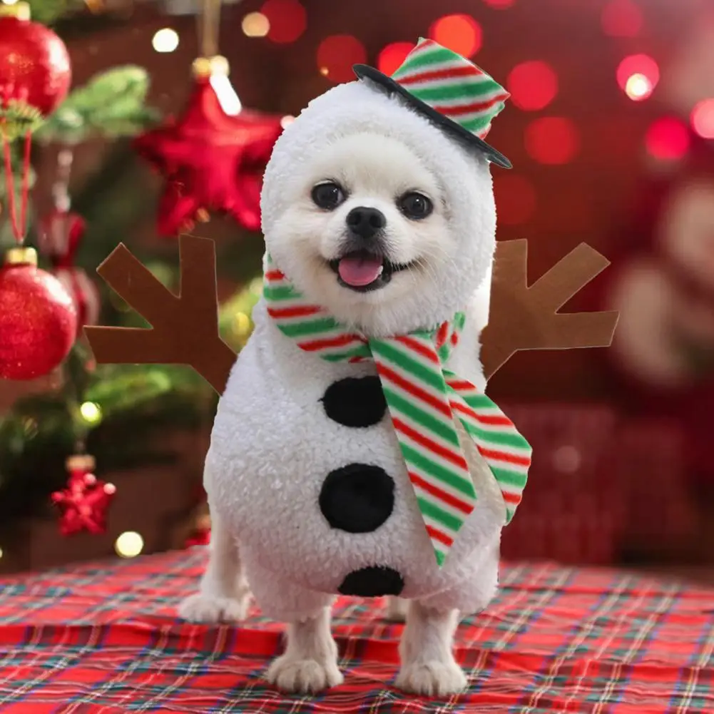 Snowman Cat Pet Costume