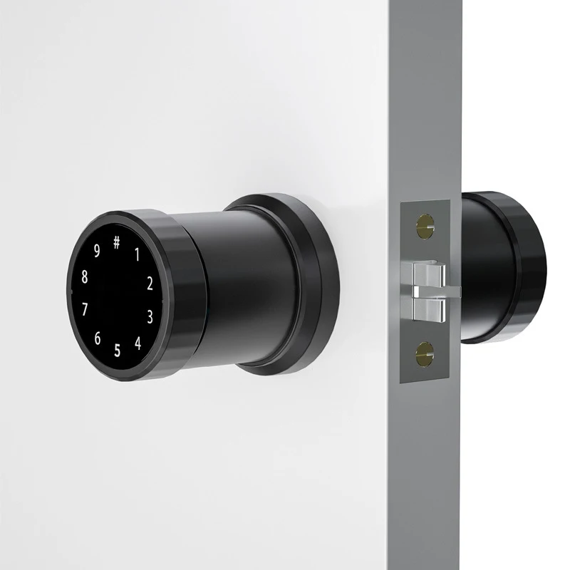 Intelligent Electronic Lock Tuya Application Controls Bluetooth ...