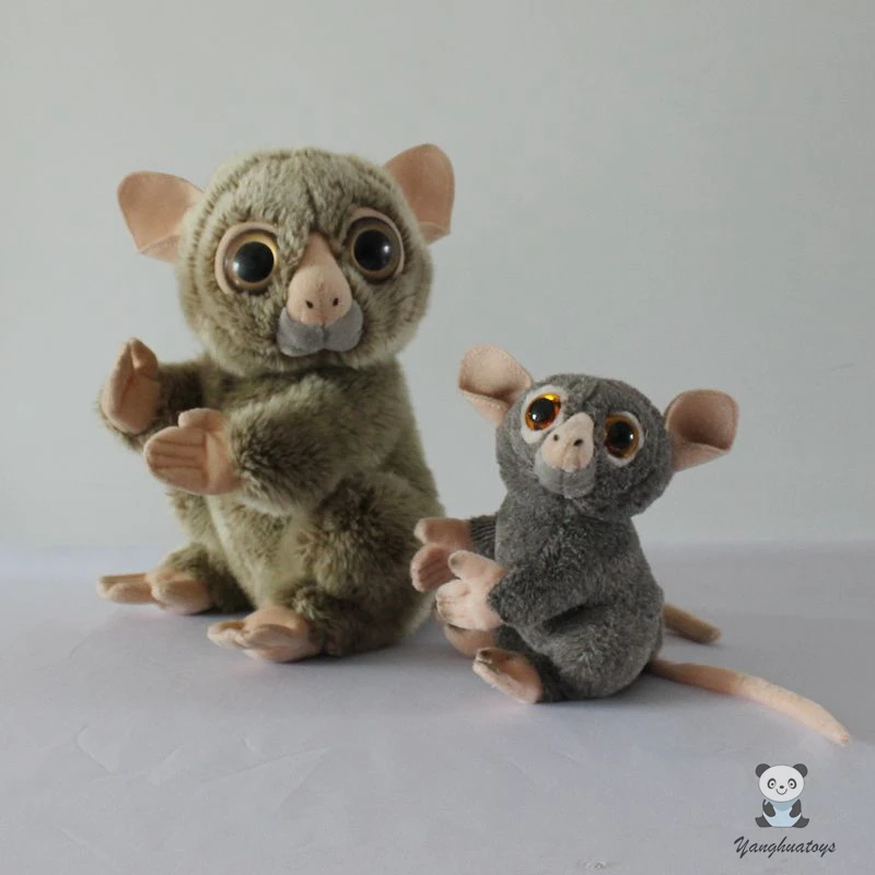 Baby Philippine Tarsier