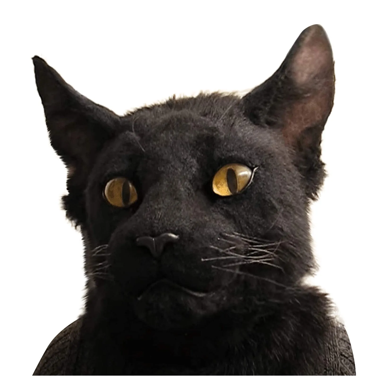 Realistic Long Plush Cat Party Masks Black Creepy Cover Head Latex ...
