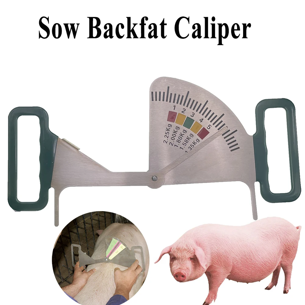 1PCS-Sow-Backfat-Caliper-Scale-Determination-Feeding-Management ...