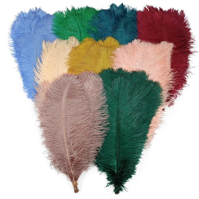 10Pcs-Colored-Ostrich-Feathers-for-Crafts-White-Big-Ostrich-Feather ...