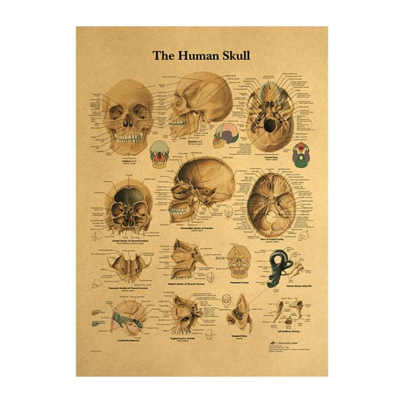 Old Medical Posters