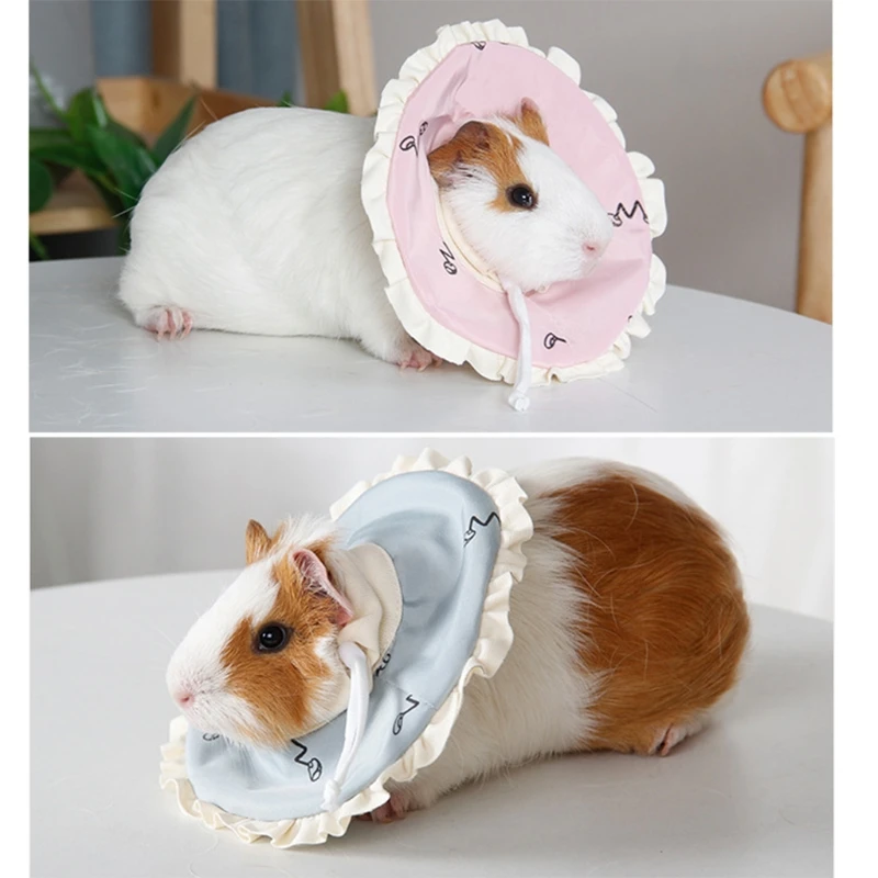 Hamster Protection Cone Neck Recovery Collar Anti-Bite Sratch After ...