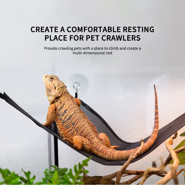 2Pcs Breathable Mesh Reptile Pet Hammock Cot Lizard Hanging Bed For ...
