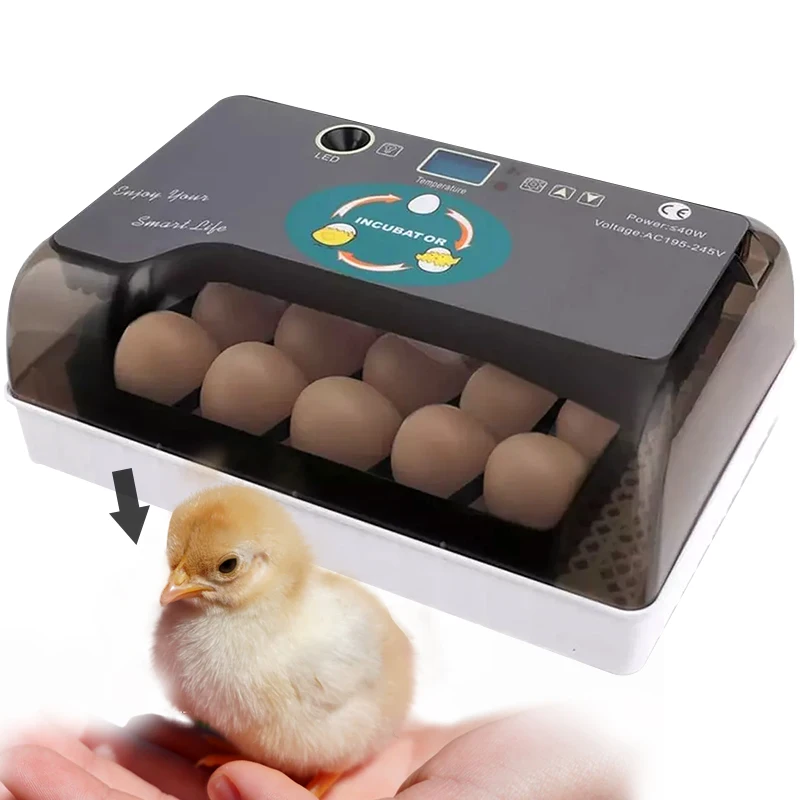 LED-12-Egg-Incubator-Smart-Brooder-Fully-Automatic-Bird-Chick-Hatcher ...