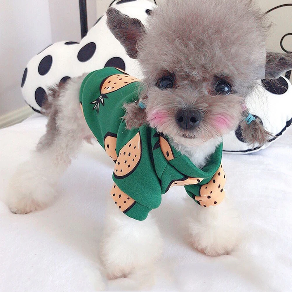 Soft Cotton Dog Clothes With Cute Colorful Patterns Keep Them Warm ...