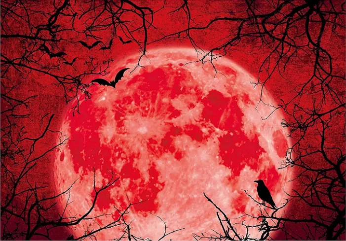 Blood Red Moon Wallpaper