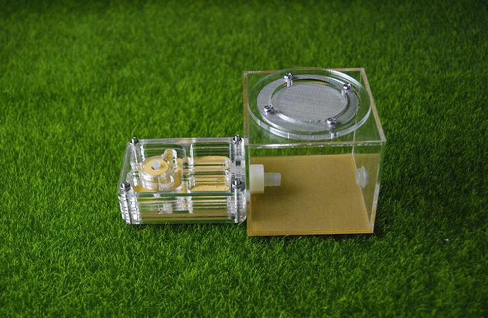 Valeur Style-E Fourmi en plâtre acrylique pour animaux de compagnie ...