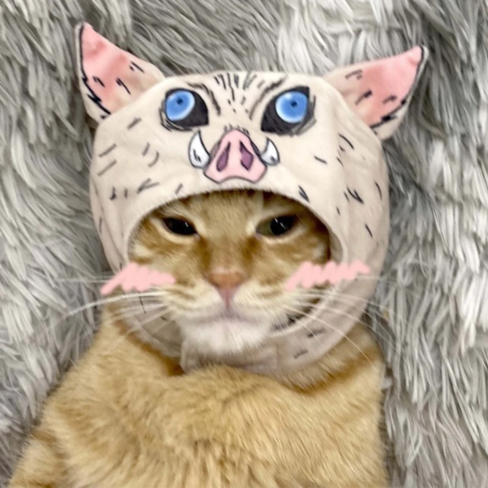 Funny Cats In Clothes