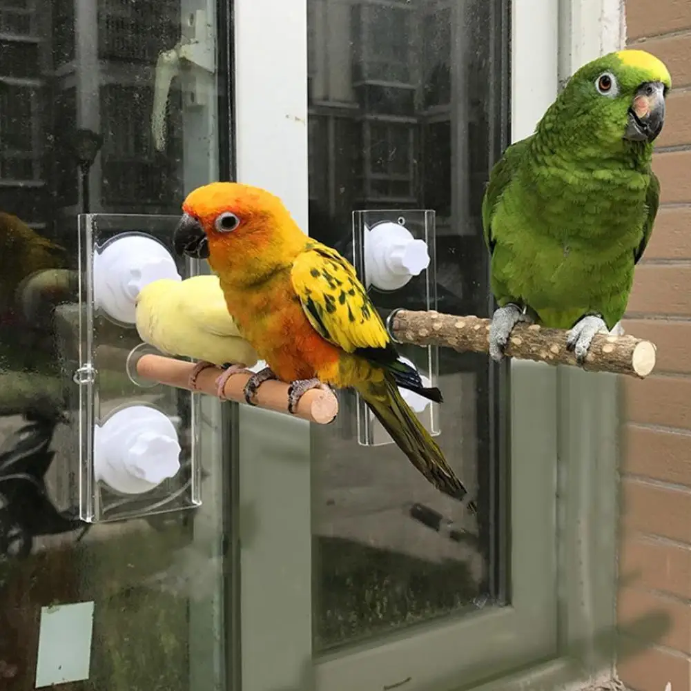 Bird-Parrot-Wooden-Standing-Stick-Rack-Suction-Cup-Shower-Perch-Bar-Rod ...