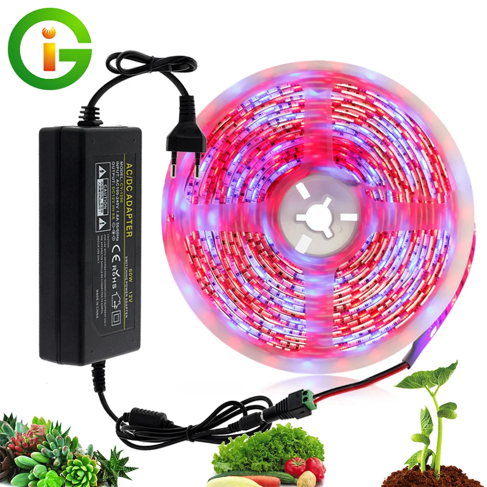 LED Grow Light 5M Waterproof DC12V Full Spectrum Growing LED Strip ...