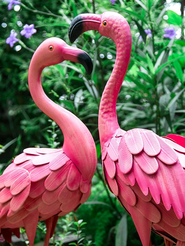 Pink Flamingos Animal