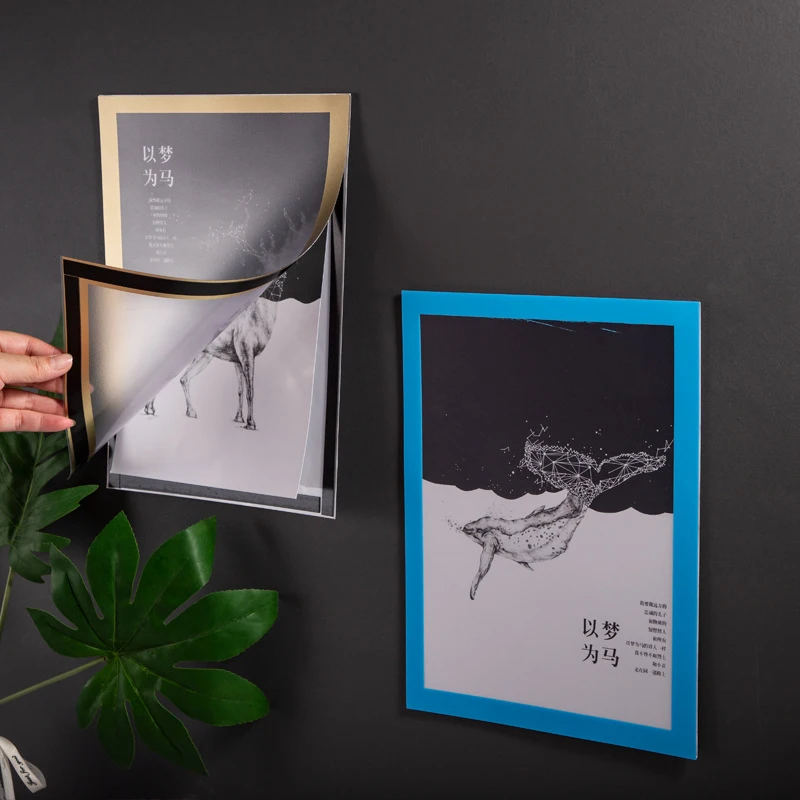 Double Sided Poster Frame