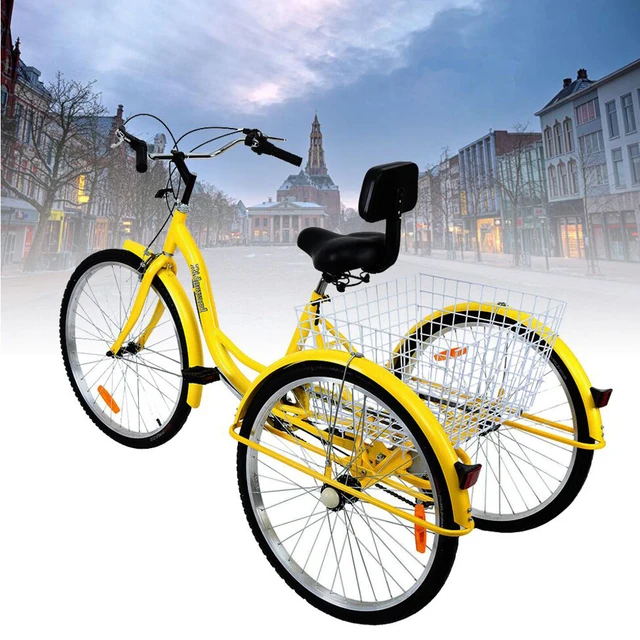 : R 6 S 24 Inch 3 W B C A T Bike Cg P Cr B Fg B : S & O US $87.00 ...