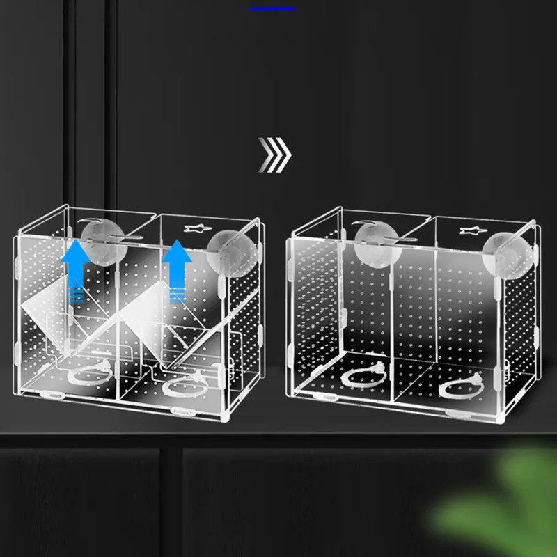 Large Size Fish Tank Isolation Box Guppy Breeding Box Small Fish Fry ...