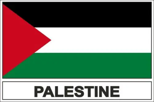 Funny-Sticker-Flag-Ps-Palestine-Flag-PVC-Vinyl-Waterproof-Sticker-Decal ...