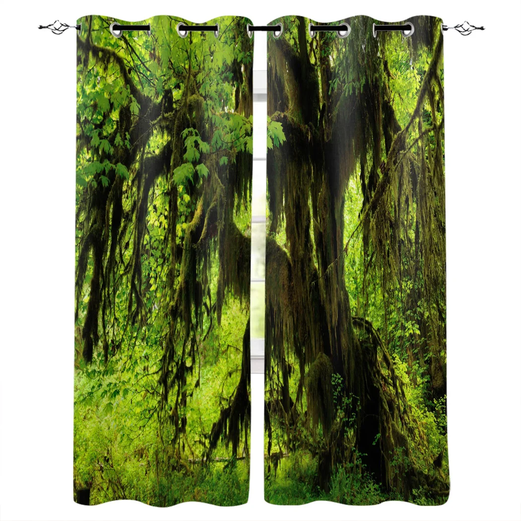 Green Forest Tree Plant Ancient Bedroom Kitchen Window Curtains ...