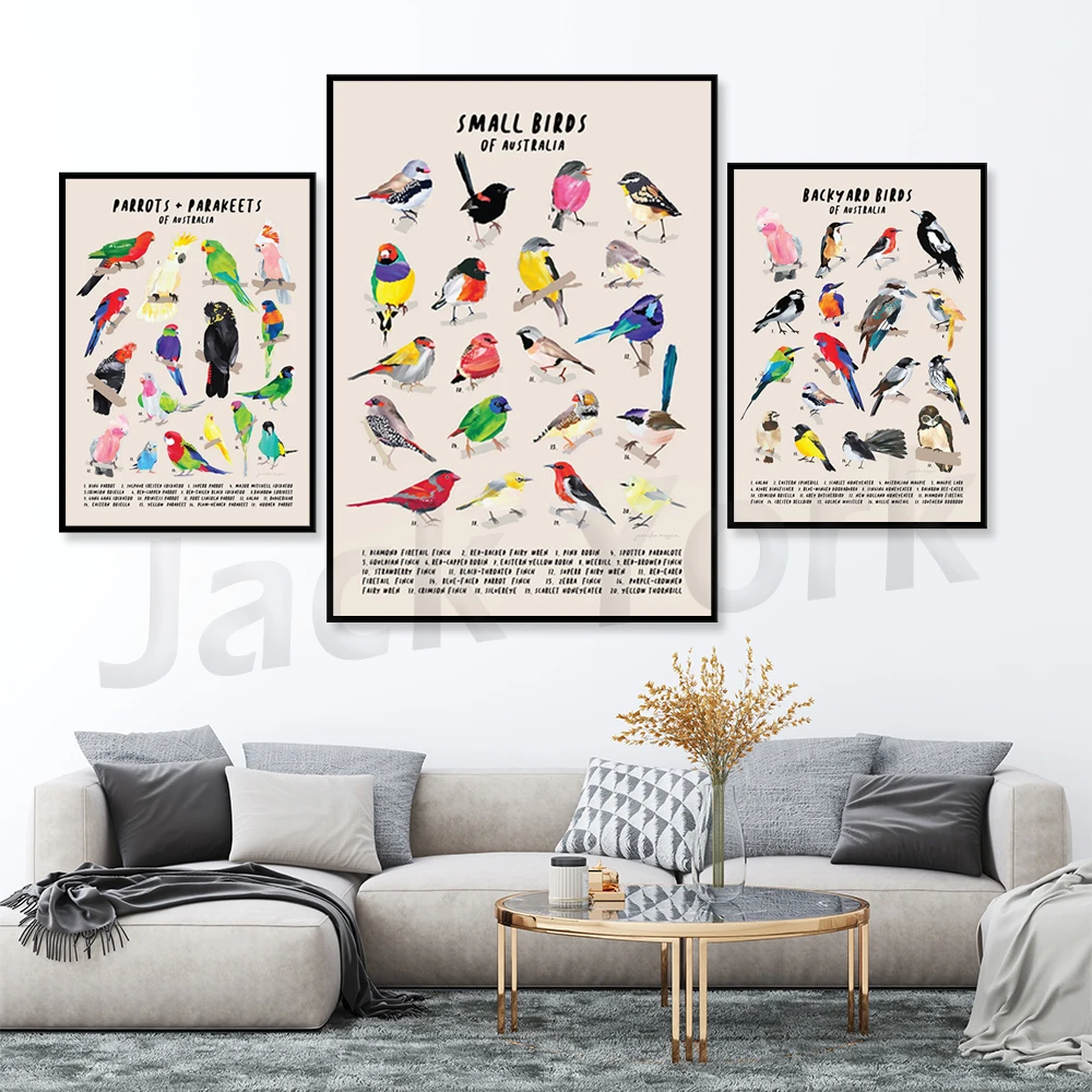 Parrots-and-Parakeets-Identification-Chart-Birds-Chart-Australian-Birds ...
