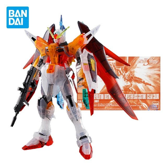 Destiny Gundam Custom