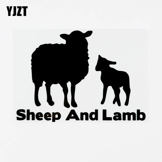 Show Lamb Decal