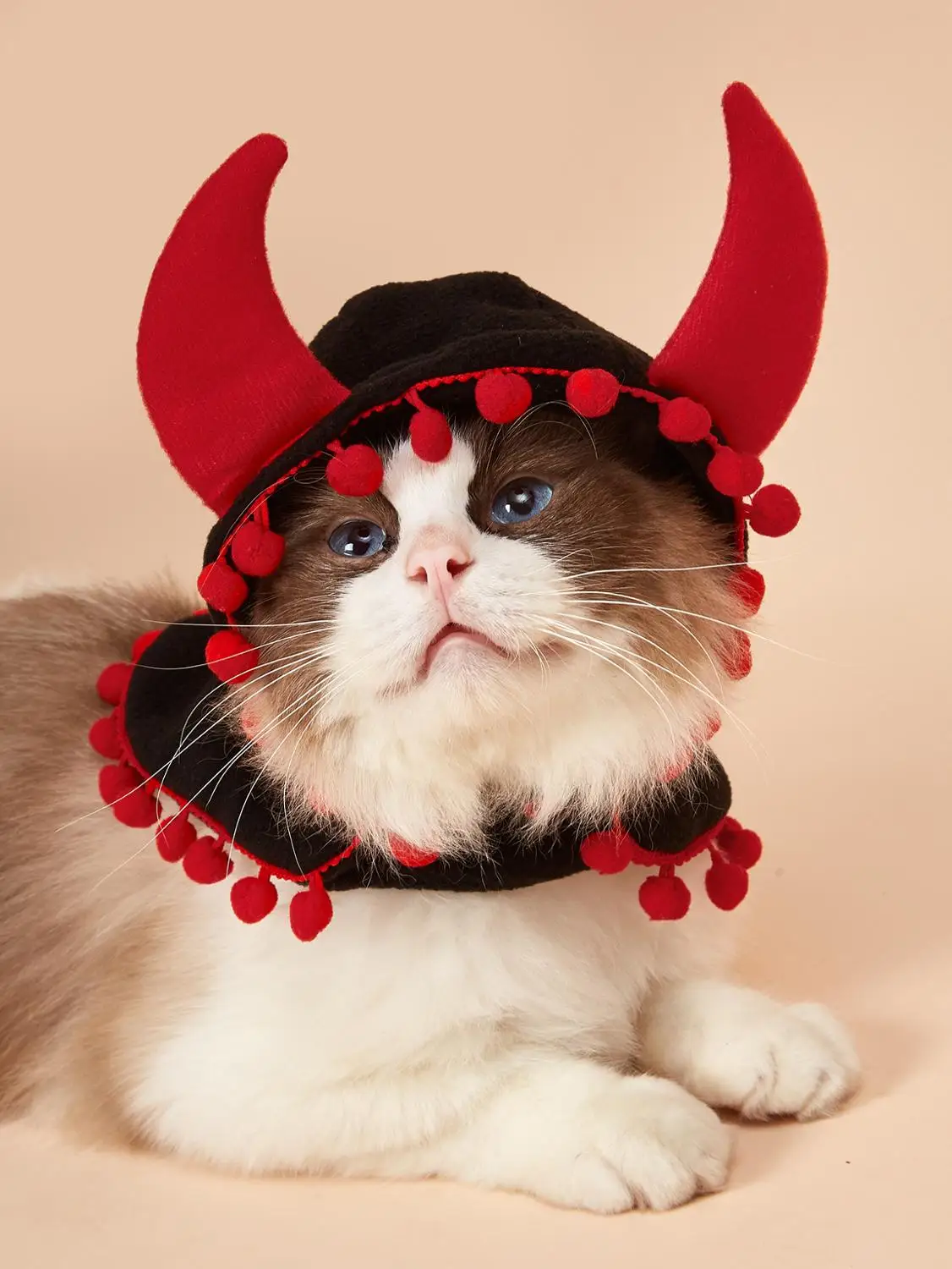 Cat With Devil Horns